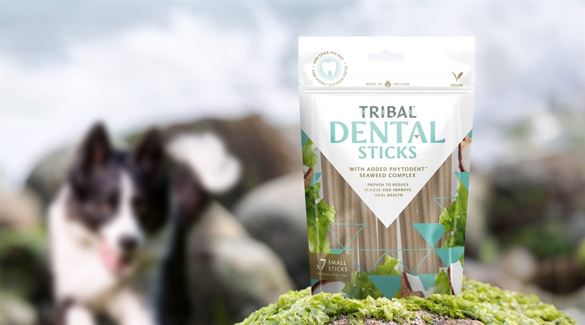 Brand New... Tribal Dental Sticks! | We.Pet